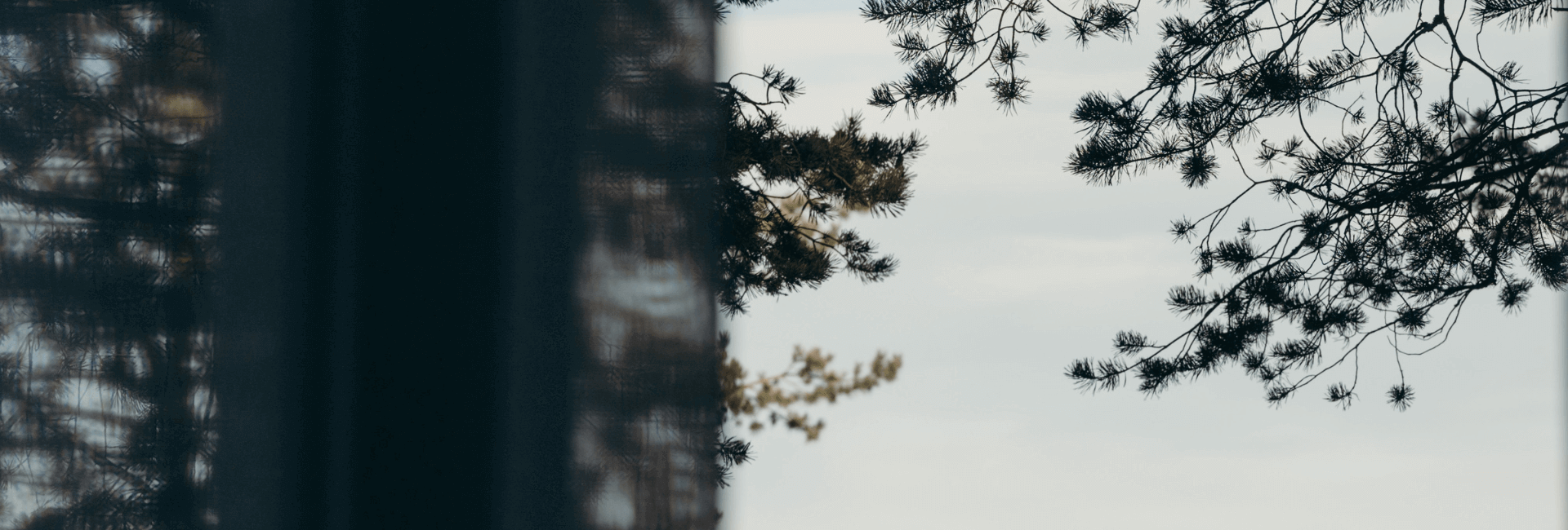 Premicon ensimmäinen vastuullisuusraportti on julkaistu – Premico